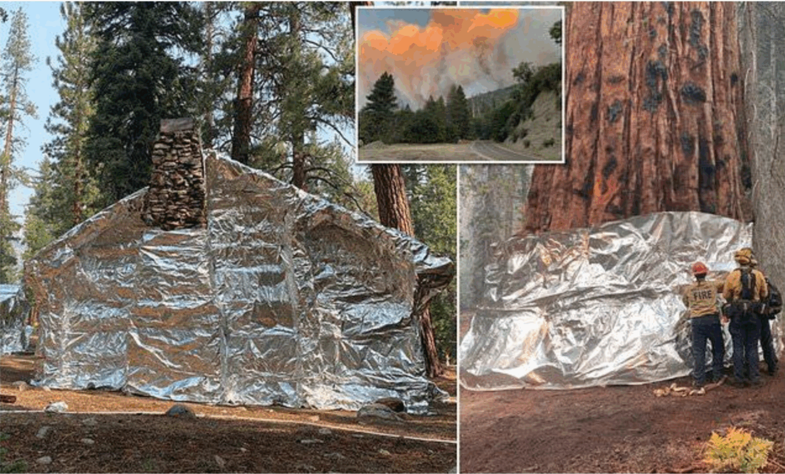 EmergencyWrap - FireGuard